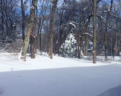 Loop on Ground (LoG) Antenna – TAPR